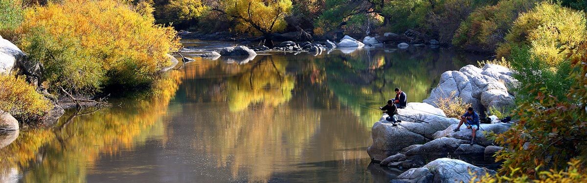 Home - Kern Community Foundation