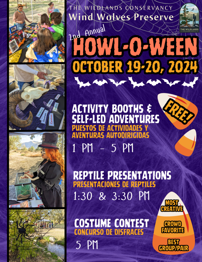 Howl-o-ween at Wind Wolves Preserve - Kern Community Foundation