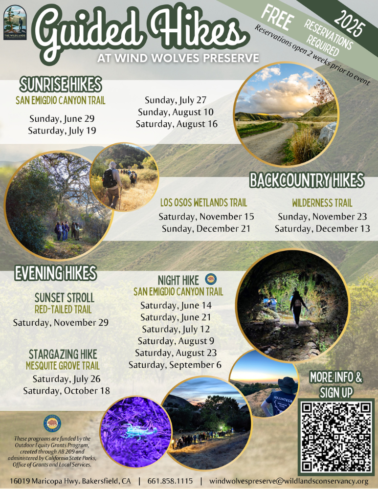 Night Hike – San Emigdio Canyon Trail - Kern Community Foundation